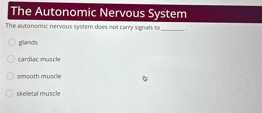 The Autonomic Nervous System The autonomic nervous system does not ...