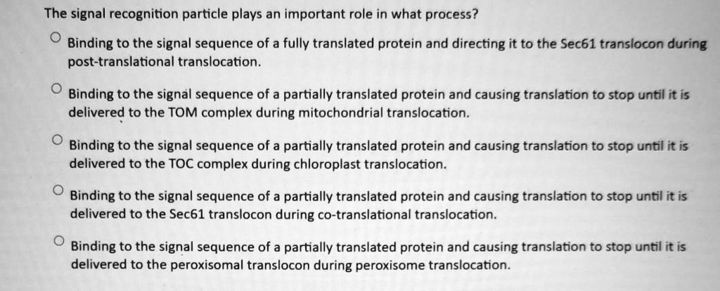 SOLVED:The signal recognition particle plays an important role in what process? Binding to the ...