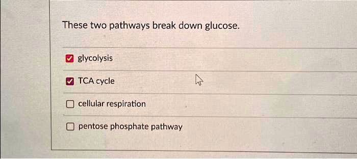 SOLVED: These two pathways break down glucose: glycolysis, TCA cycle ...
