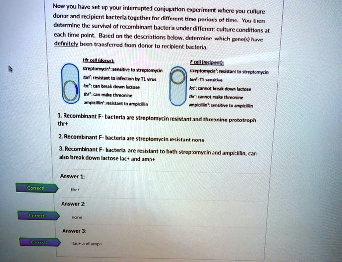 SOLVED:Now you have set up your interrupted conjugation experiment ...