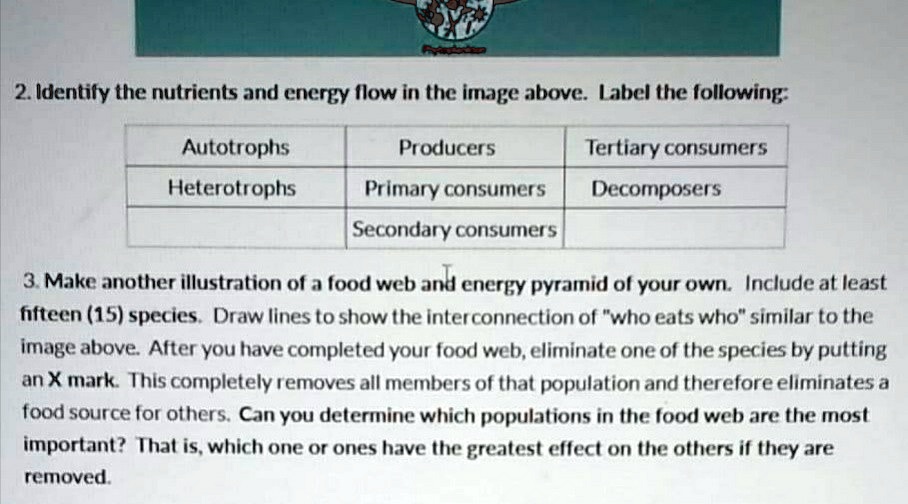 2 identify the nutrients and energy ilow in thc image above label the ...