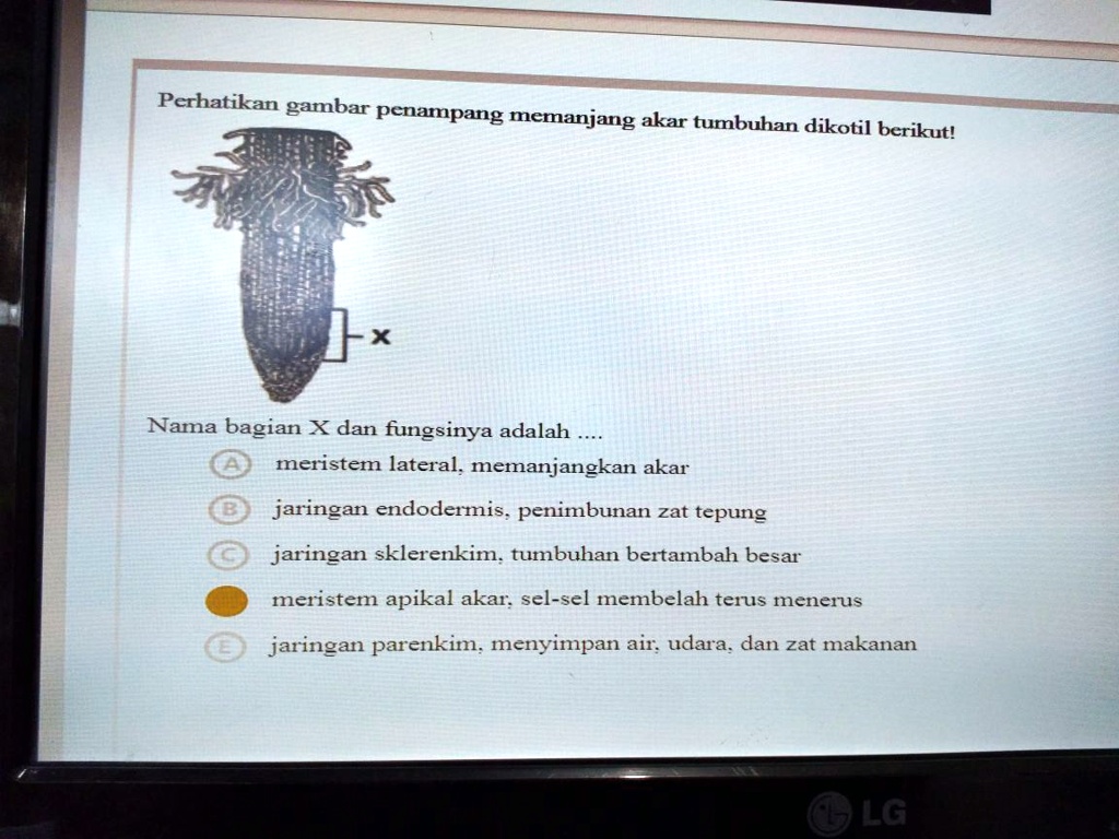 SOLVED: ini apa ya jawaban yang benarnya? Perhatikan gambar penampang ... SOLVED: ini apa ya jawaban yang benarnya? Perhatikan gambar penampang ...