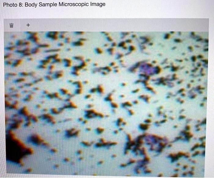 photo 8 body sample microscopic image 30822