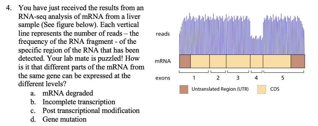 SOLVED: You have just received the results from an RNA-seq analysis of ...