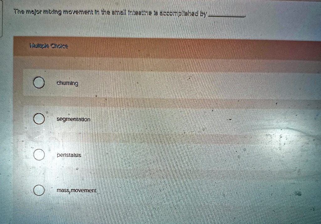 The major mixing movement in the small intestine is accomplished by ...