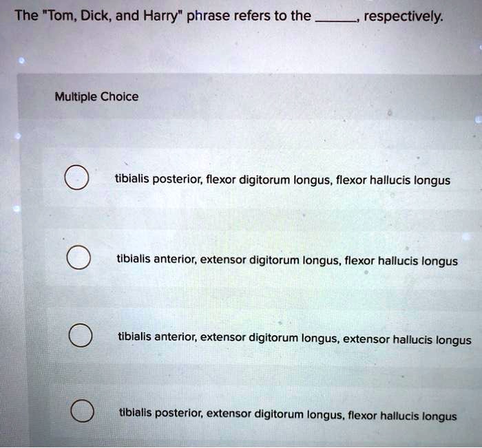 SOLVED: The "Tom, Dick, and Harry" phrase refers to the tibialis ...