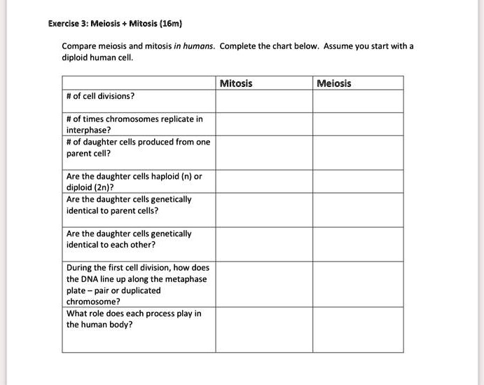 Exercise 3: Meiosis + Mitosis (16m) Compare meiosis and mitosis in ...