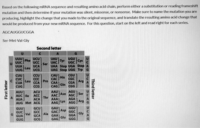 SOLVED: Based on the following mRNA sequence and resulting amino acid ...
