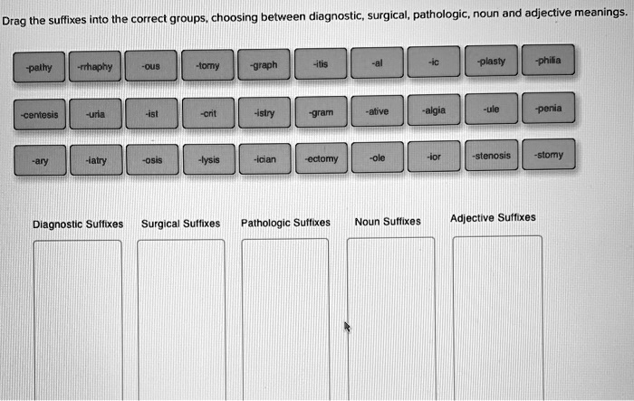 Drag the suffixes into the correct groups, choosing between diagnostic ...