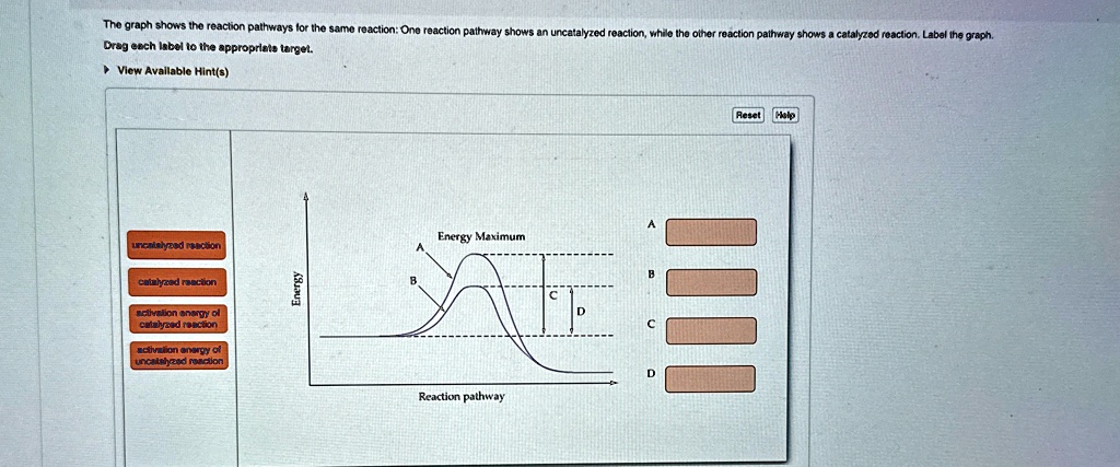 the graph shows the reaction pathways for the same reaction one reaction pathway shows an ...