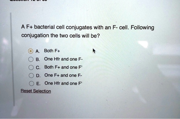 A F+ bacterial cell conjugates with an F- cell. Following...