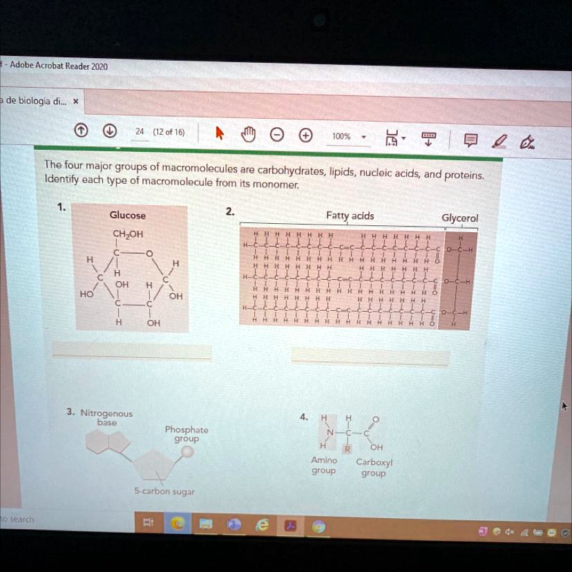 the four main groups of macromolecules are carbohydrates lipids ...