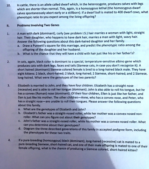 SOLVED: In cattle, there is an allele called dwarf which, in the ...