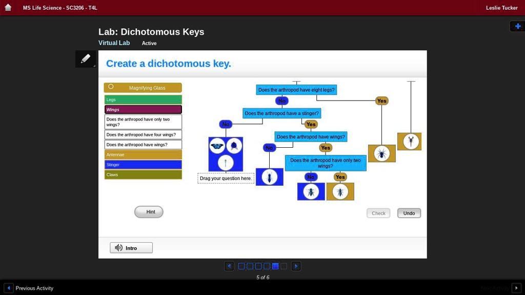 MS Life Science - SC3206-T4L Previous Activity Lab: Dichotomous Keys ...