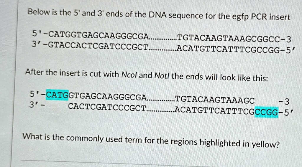 below is the 5 and 3 ends of the dna sequence for the egfp pcr insert 5 ...
