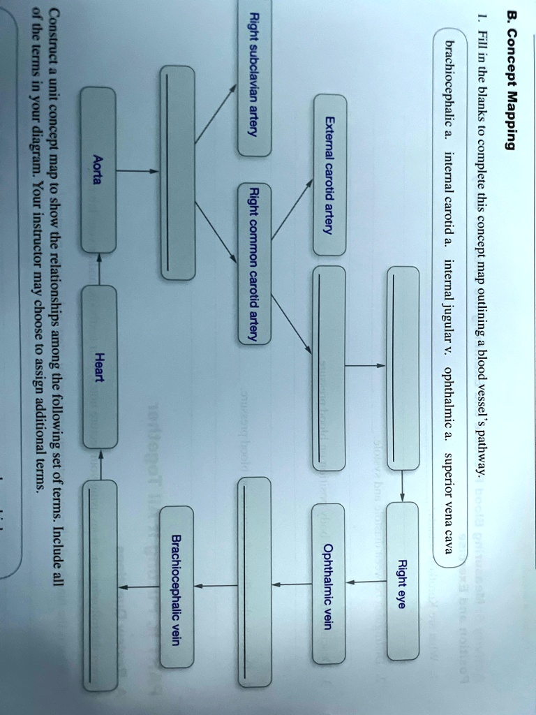 b concept mapping fill in the blanks to complete this concept map ... b concept mapping fill in the blanks to complete this concept map ...