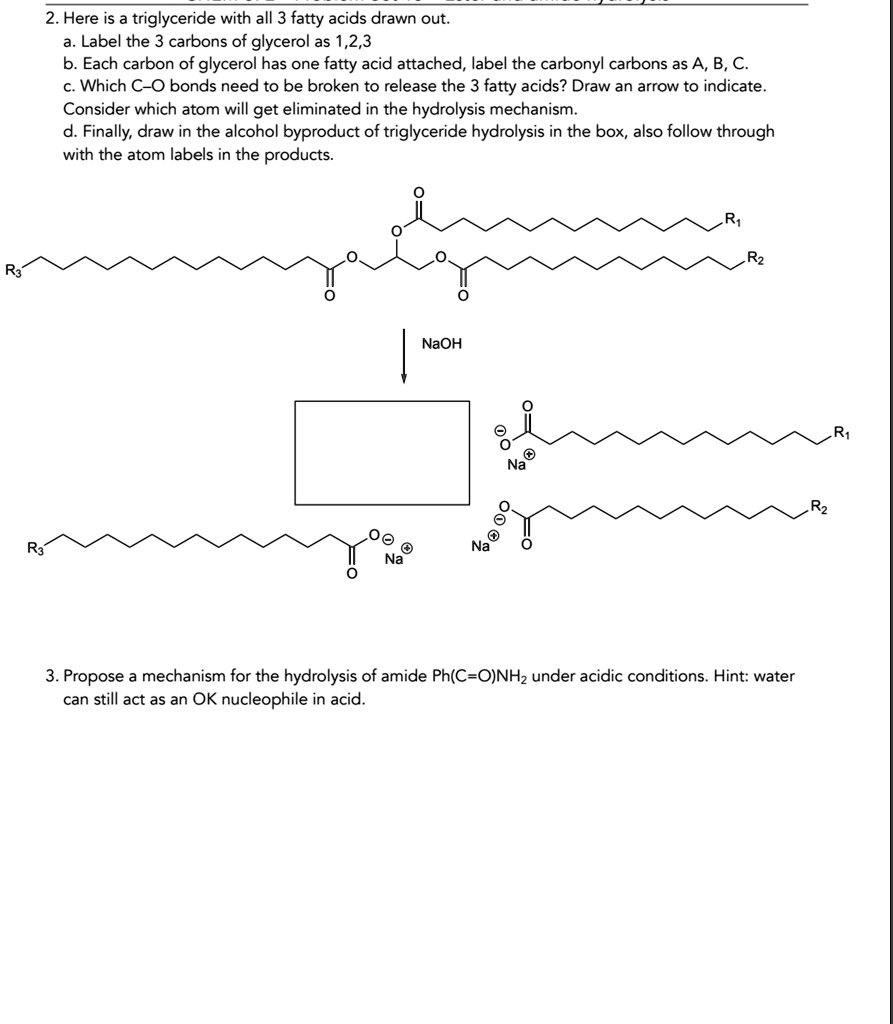 R3 R3 2. Here is a triglyceride with all 3 fatty acids drawn out. a ...
