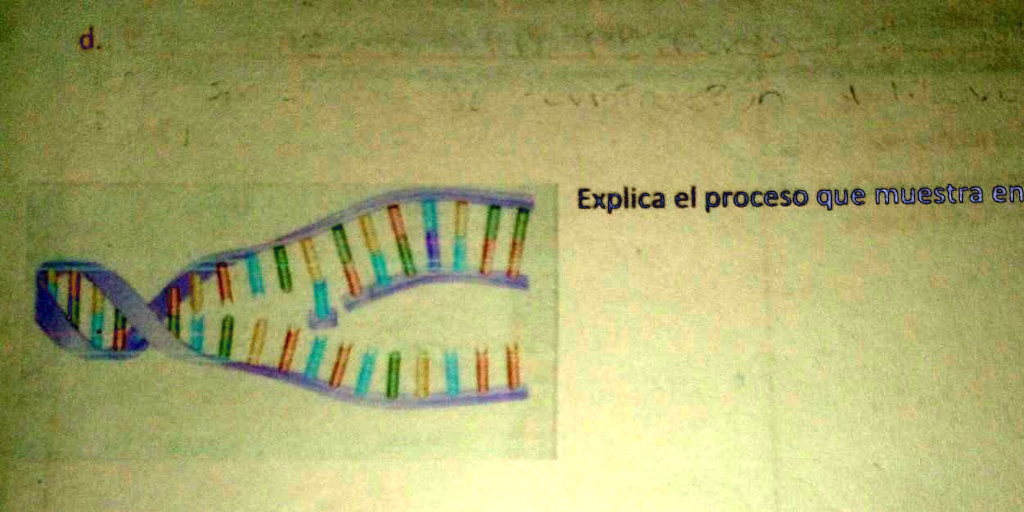 SOLVED Explica El Proceso Que Se Muestra En La Imagen 70 Explica El