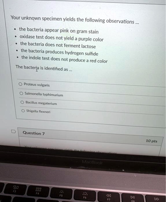 Your unknown specimen yields the following observations... • the ...