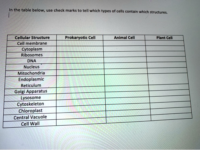 In the table below use check marks to tell which types of...
