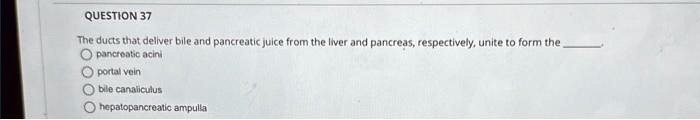 SOLVED: The ducts that deliver bile and pancreatic juice from the liver ...