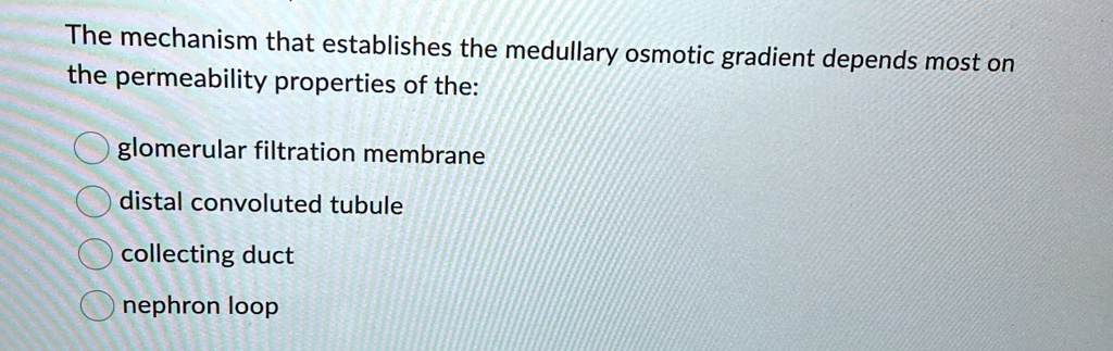 the mechanism that establishes the medullary osmotic gradient depends ...