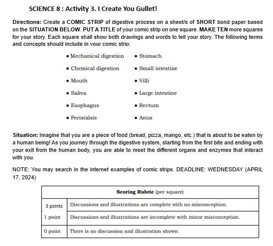 SCIENCE 8 : Activity 3. I Create You Gullet! Directions: Create a COMIC ...