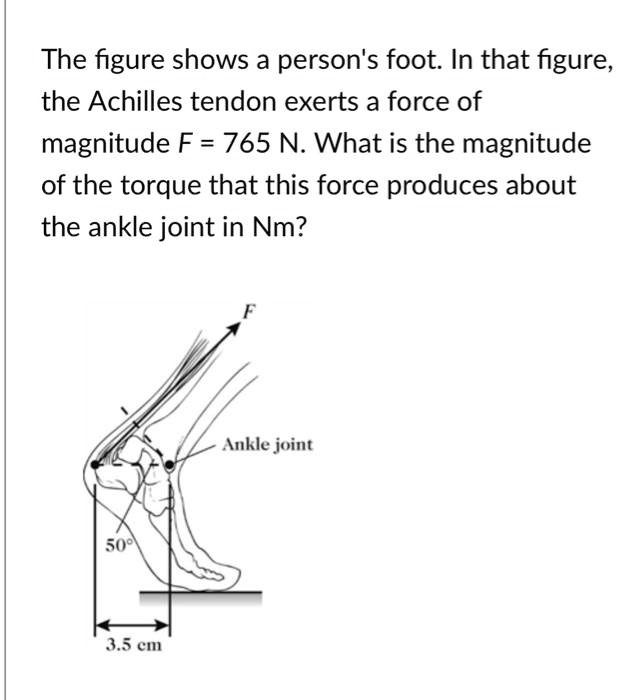 the figure shows a persons foot in that figure the achilles tendon ...