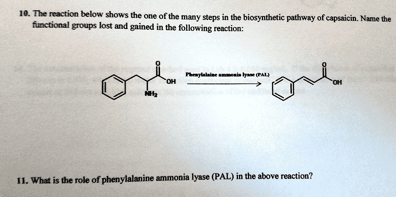 10. The reaction below shows the one of the many steps in the ...