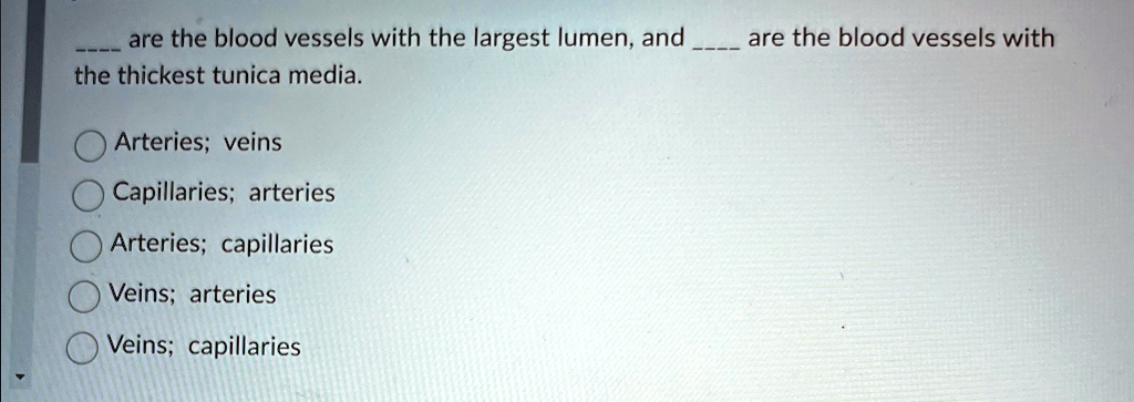 are the blood vessels with the largest lumen, and are the blood vessels ...
