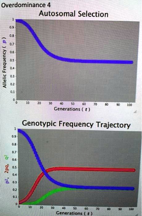 SOLVED:Overdominance 4 Autosomal Selection 1 Generations ( t ...