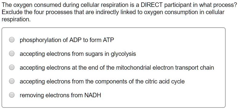 The oxygen consumed during cellular respiration is a DIRECT participant ...