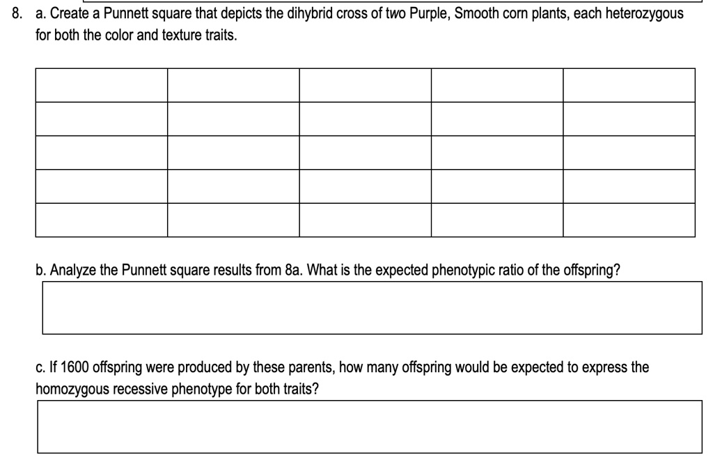 SOLVED: a. Create a Punnett square that depicts the dihybrid cross of ...