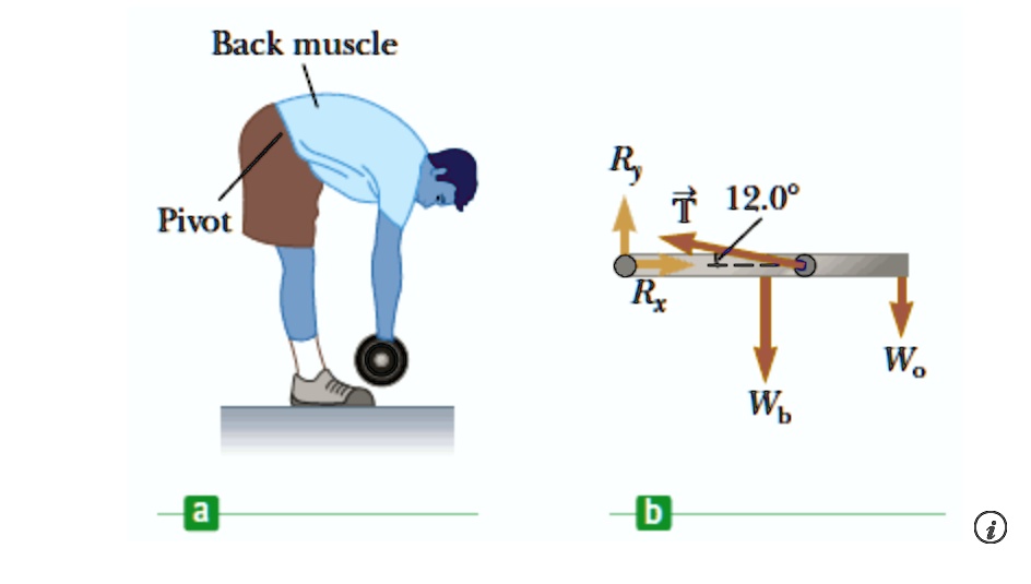 A person bending forward to lift a load "with his back" (Figure a ...