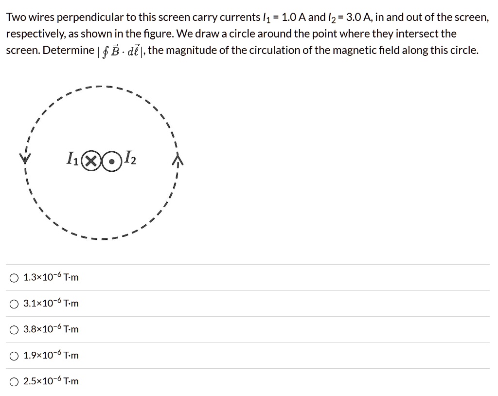 SOLVED: Two wires perpendicular to this screen carry currents I1 = 1.0 ...