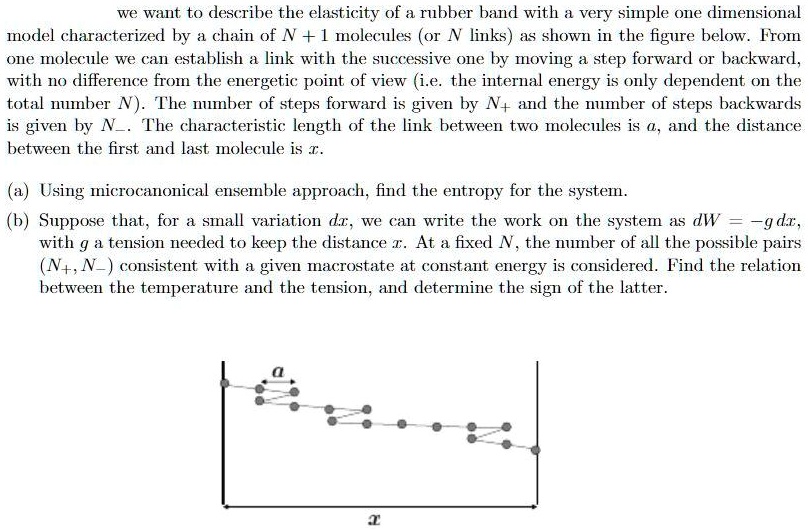 SOLVED: We want to describe the elasticity of a rubber band with a very simple one-dimensional ...