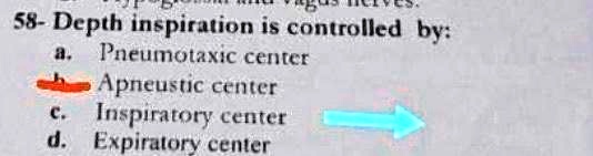 58 depth inspiration is controlled by a pneumotaxic center apneustic ...