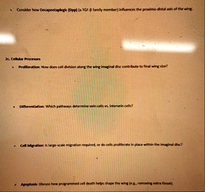 consider how decapentaplegic dpp a tgf beta family member influences ...