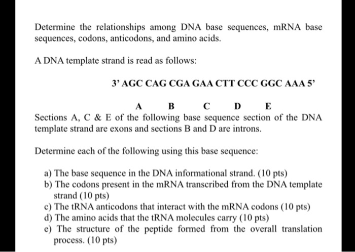 SOLVED: Determine the relationships among DNA base sequences, mRNA base sequences, codons ...