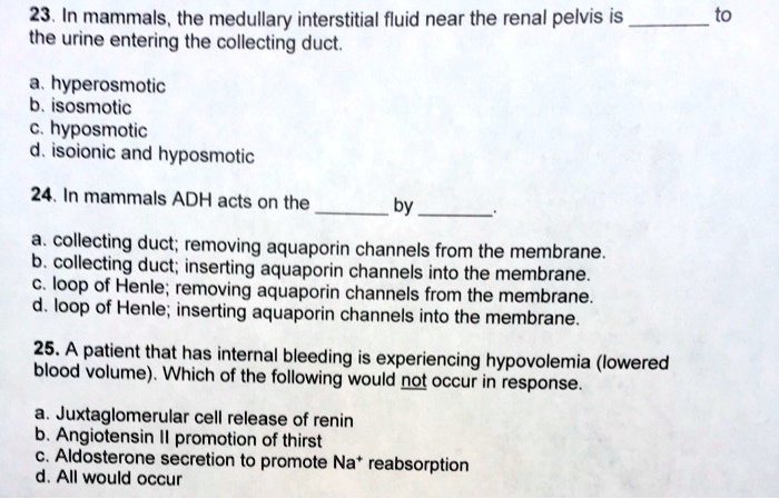 23. In mammals, the medullary interstitial fluid near the renal pelvis ...