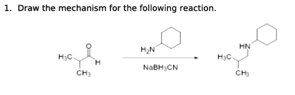 SOLVED: Draw the mechanism for the following reaction: HN HN H3C H3C NaBH4 CN CH3 CH3