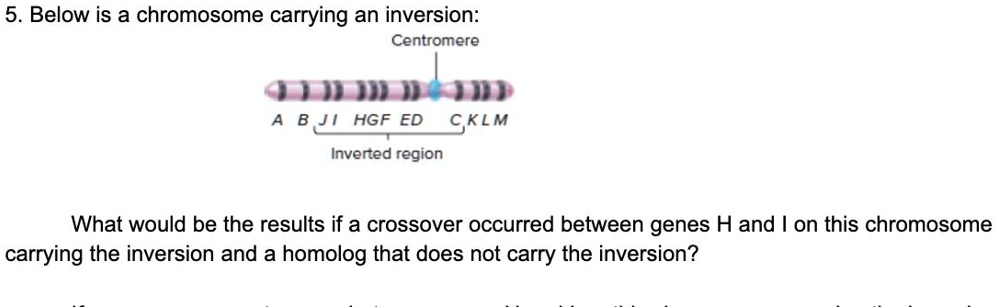 SOLVED: 5. Below is a chromosome carrying an inversion: Centromere B J ...