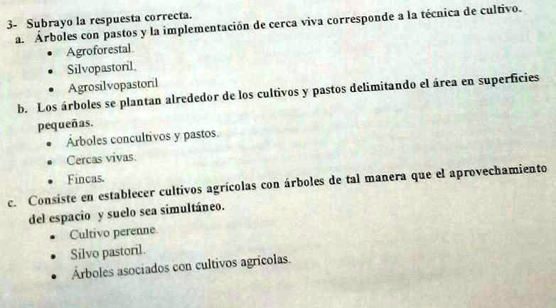SOLVED: 3- Subrayo la respuesta correcta. a. Arboles con pastos y la ... SOLVED: 3- Subrayo la respuesta correcta. a. Arboles con pastos y la ...