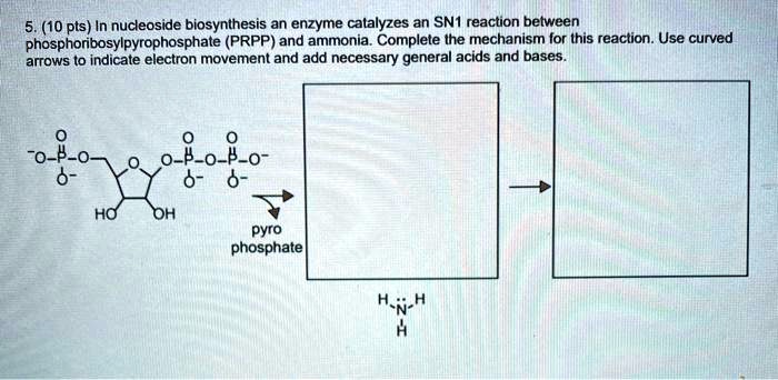 5 10 pts in nucleoside biosynthesis an enzyme calalyzes an sni reaction ...