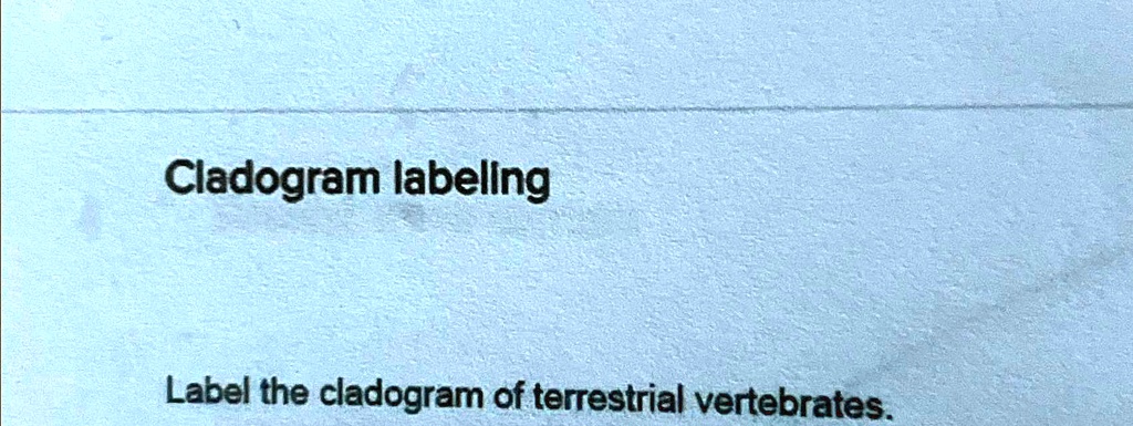 Cladogram labelling Label the cladogram of terrestrial vertebrates.