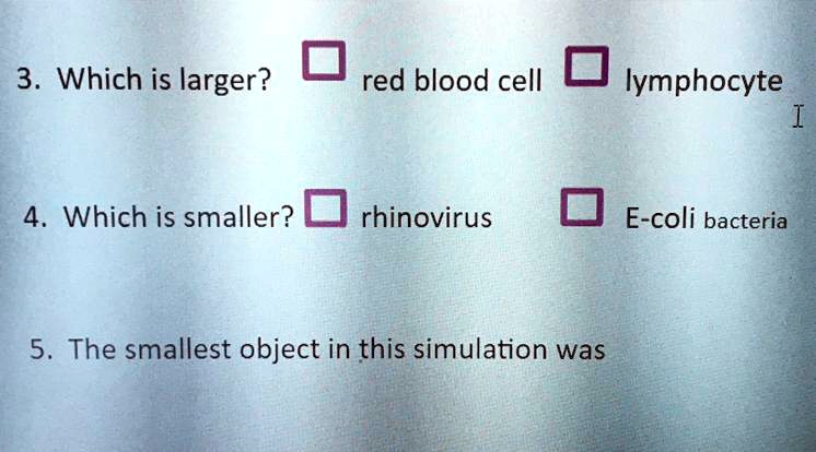 can anyone answer these questions 3 which is larger red blood cell ...