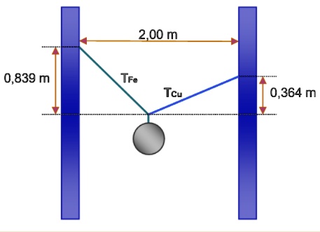 2,00 m 0,839 m TFe TCu 0,364 m