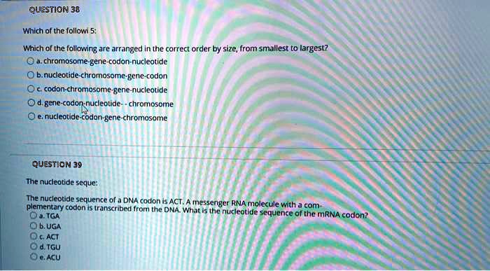 Solved Question 38 Which Of The Follow 5 Which Of The Following Are Arranged In The Correct 4319