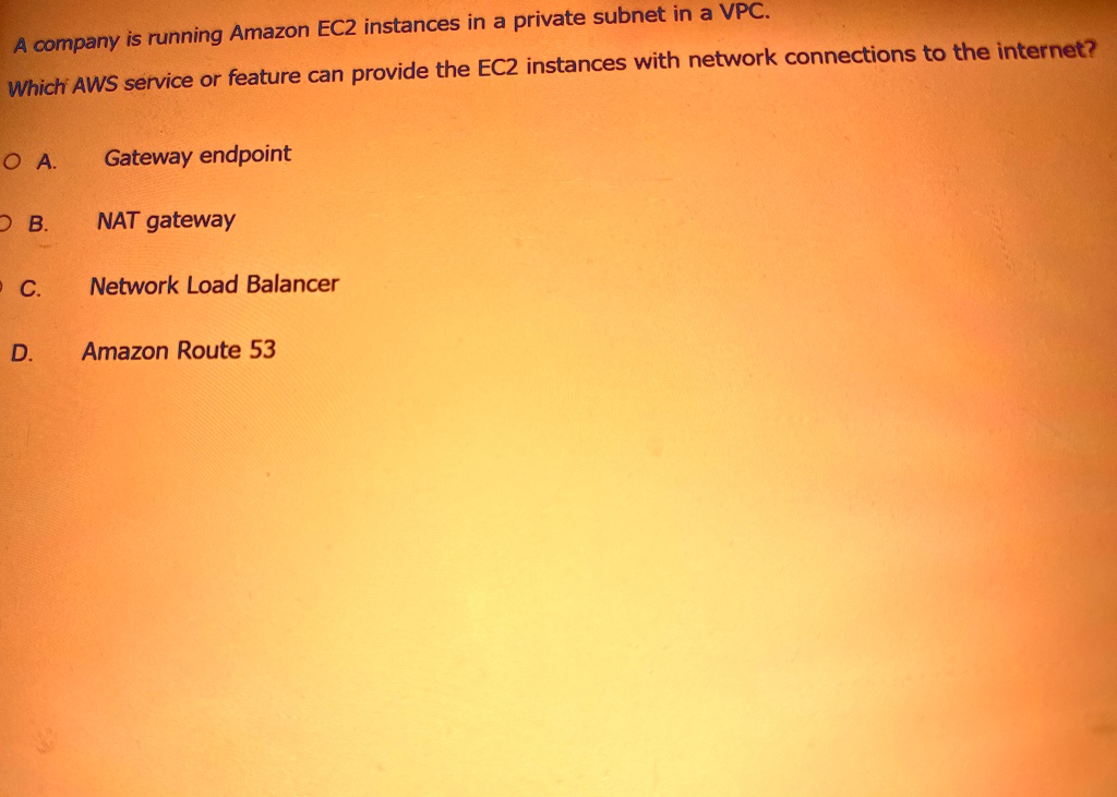 a company is running amazon ec2 instances in a private subnet in a vpc ...