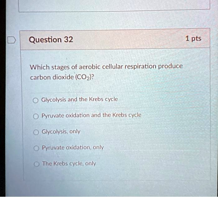 question 32 1 pts which stages of aerobic cellular respiration produce ...